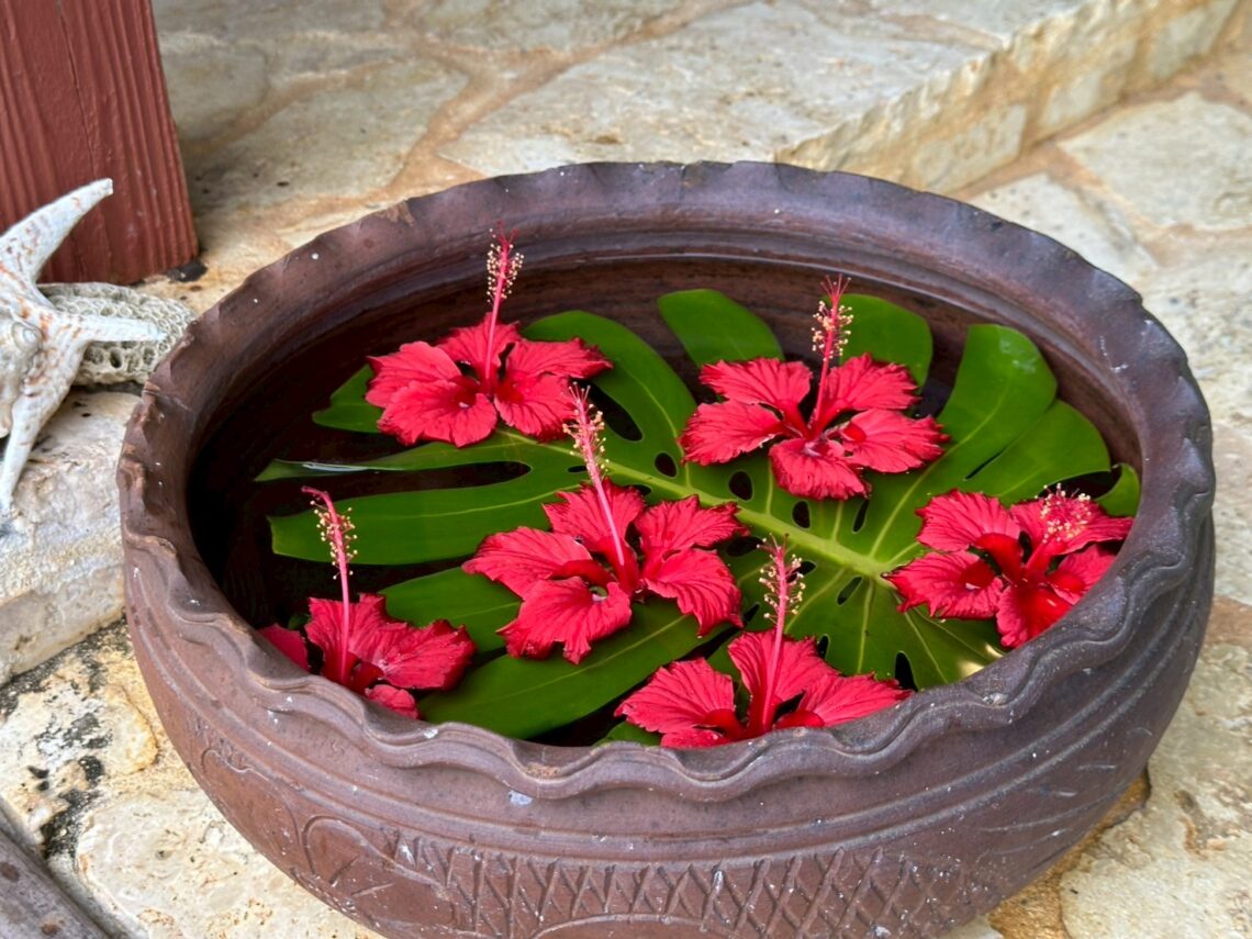 2025年5月 – 女性電車運転士Vlog